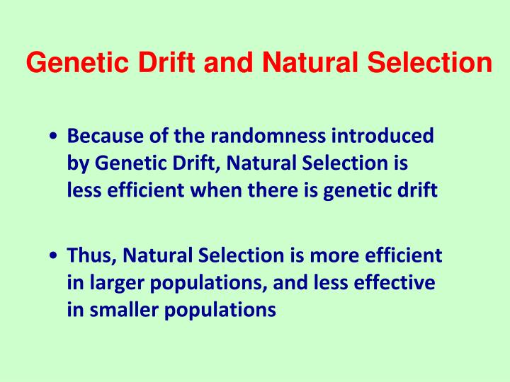 PPT - Genome Evolution PowerPoint Presentation - ID:2584527