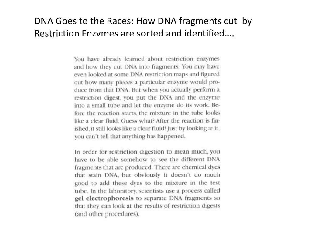 PPT - DNA Scissors & DNA Goes to the Races Activities/Review PowerPoint ...