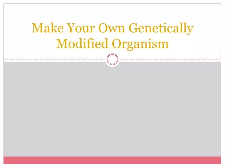 PPT - Make Your Own Genetically Modified Organism PowerPoint Presentation - ID:2585041