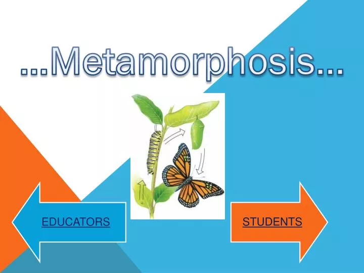 PPT - …Metamorphosis… PowerPoint Presentation, free download - ID:2585294