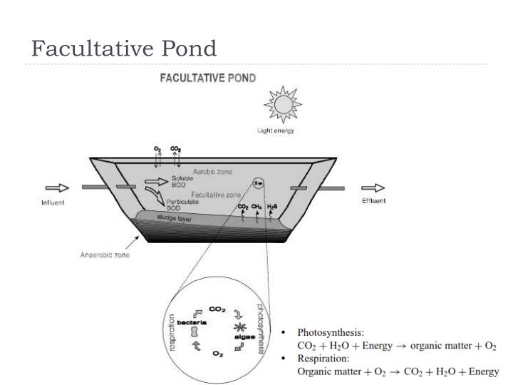 PPT - DESIGN OF WASTEWATER TREATMENT PLANT PowerPoint Presentation - ID ...