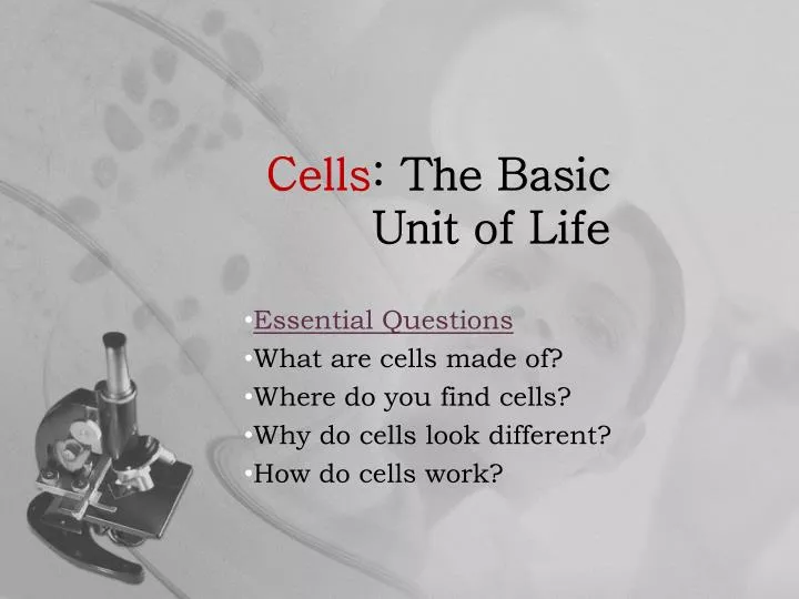 PPT - Cells : The Basic Unit of Life PowerPoint Presentation, free ... PPT - Cells : The Basic Unit of Life PowerPoint Presentation, free ...