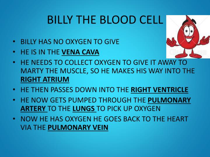 PPT - Year 11 GCSE PE THE CARDIOVASCULAR SYSTEM PowerPoint Presentation ...