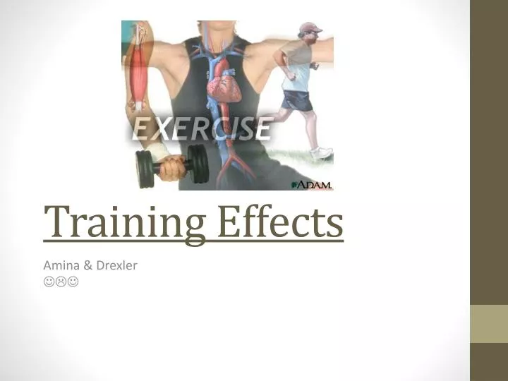PPT - Training Effects PowerPoint Presentation, free download - ID:2586016