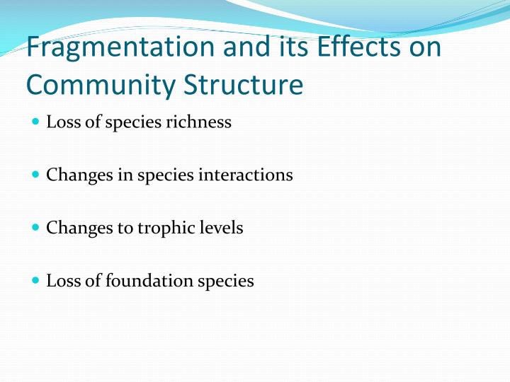 PPT - Habitat Fragmentation and Loss PowerPoint Presentation - ID:2586924
