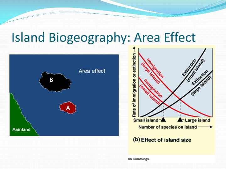 PPT - Habitat Fragmentation and Loss PowerPoint Presentation - ID:2586924