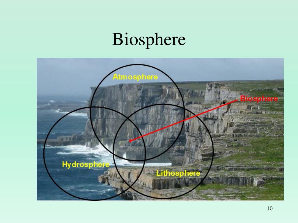 Biosphere Examples