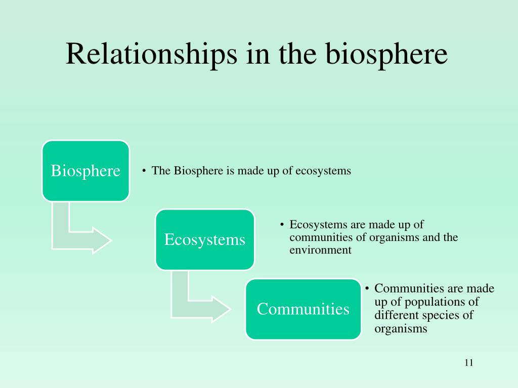 PPT - 1.4.1 – 4 + 7 Ecology, Ecosystem, Biosphere, Habitat & Niche ...