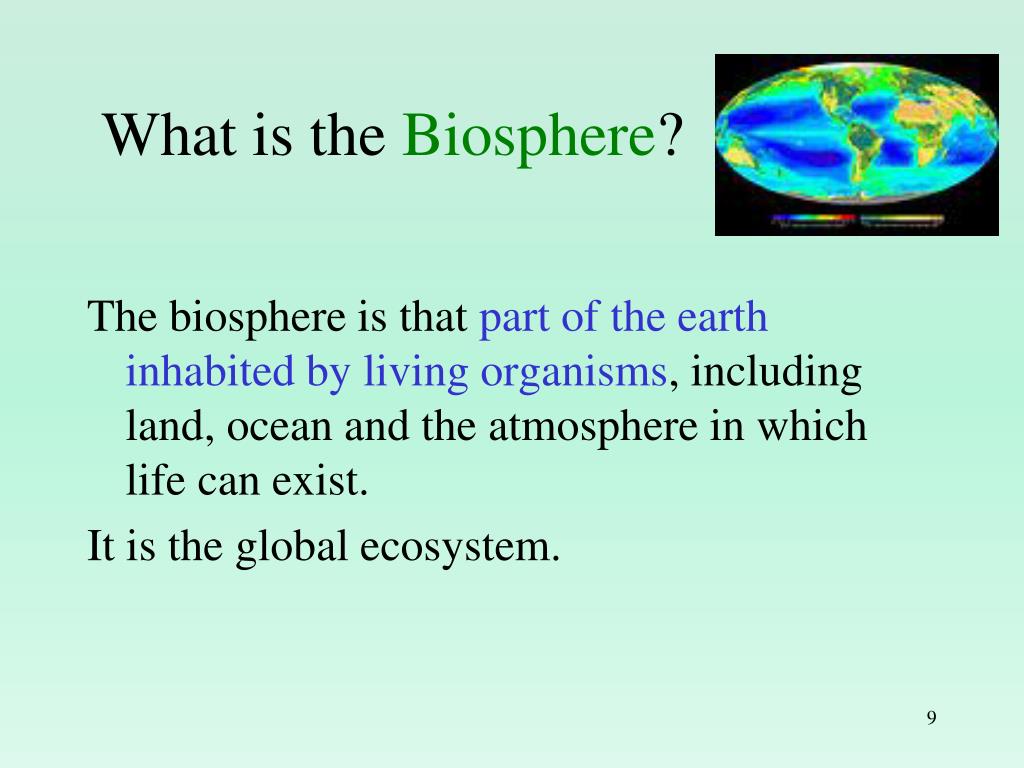 PPT - 1.4.1 – 4 + 7 Ecology, Ecosystem, Biosphere, Habitat & Niche ...