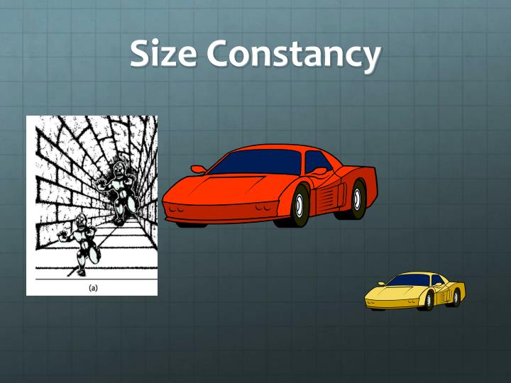 PPT - Sensation and Perception PowerPoint Presentation - ID:2587544