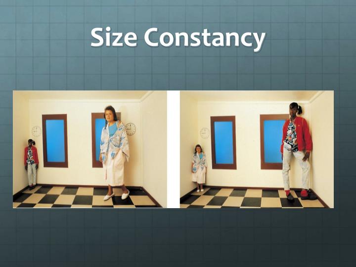 PPT - Sensation and Perception PowerPoint Presentation - ID:2587544