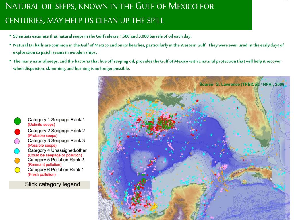 PPT - Natural oil seeps , known in the Gulf of Mexico for centuries ...