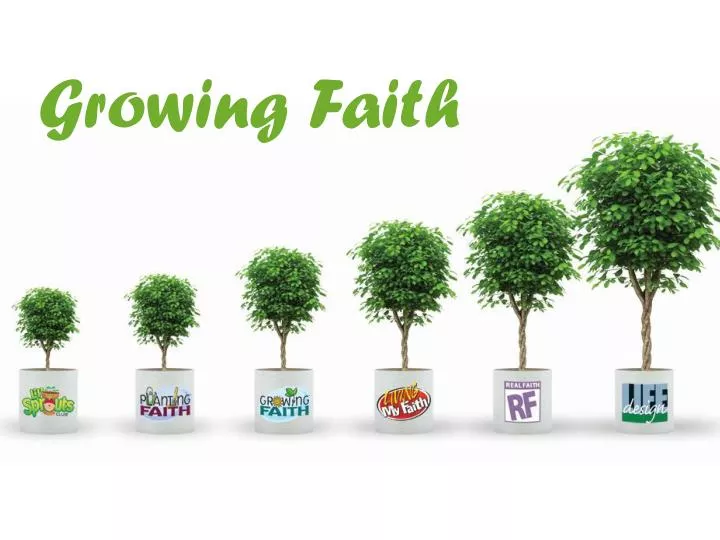 PPT - Growing Faith PowerPoint Presentation, free download - ID:2588580