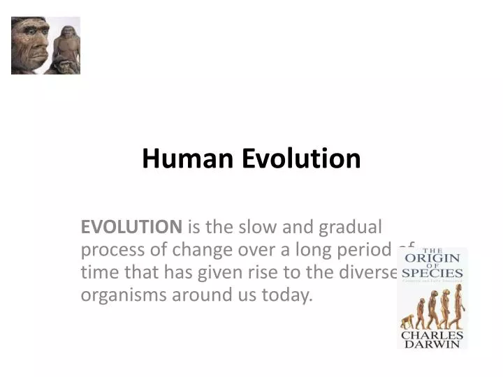 PPT - Human Evolution PowerPoint Presentation, free download - ID:2588902