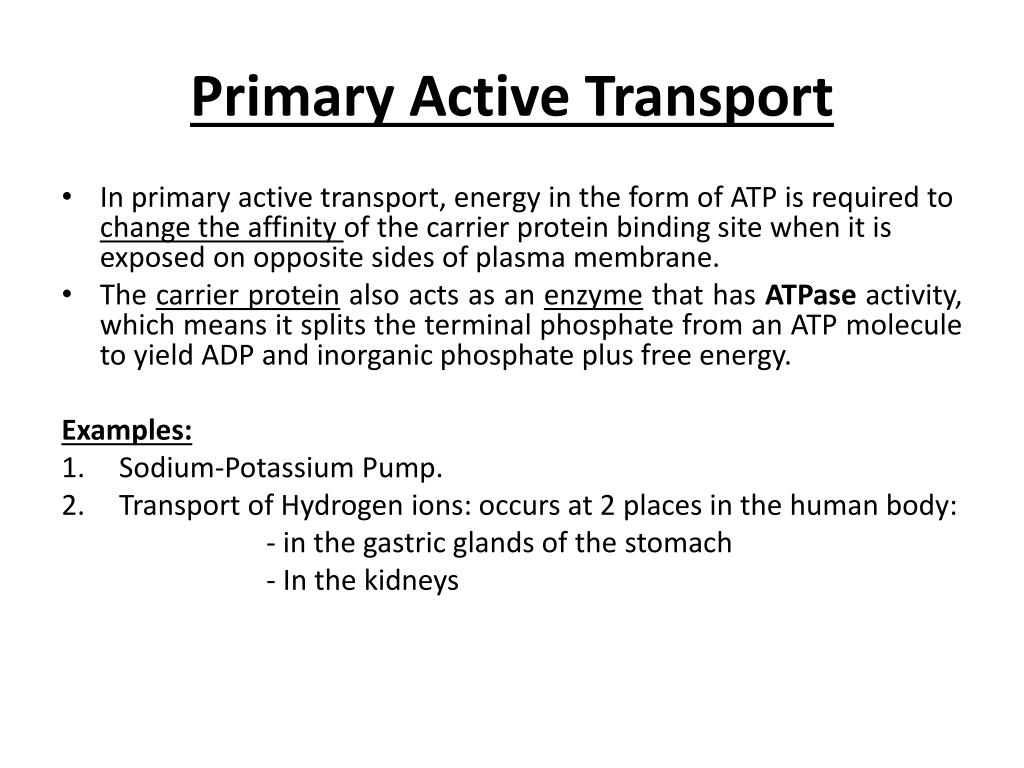 PPT - TRANSPORT ACROSS CELL MEMBRANE-ii (Guyton, 12 th Ed. (chapter 4 ...
