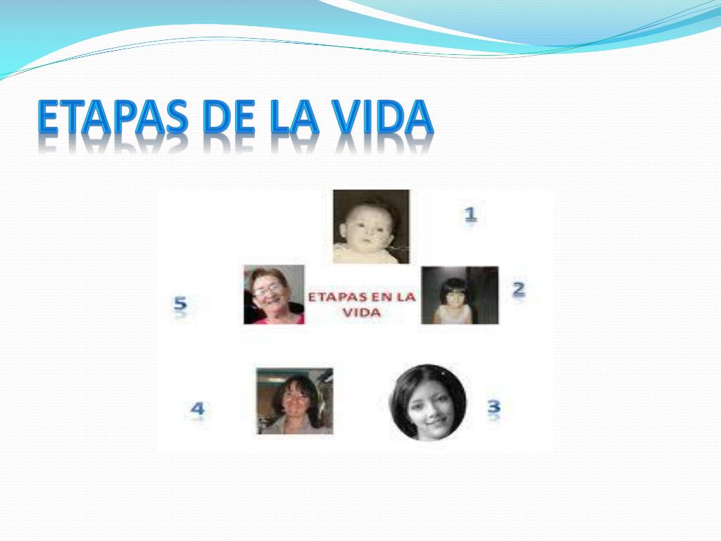 PPT - LAS ETAPA DE LA VIDA DEL SER HUMANO PowerPoint Presentation, free ...