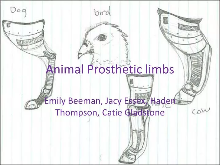 PPT - Animal Prosthetic limbs PowerPoint Presentation, free download ...