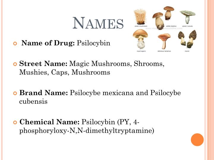 PPT - Psilocybin PowerPoint Presentation - ID:2591413