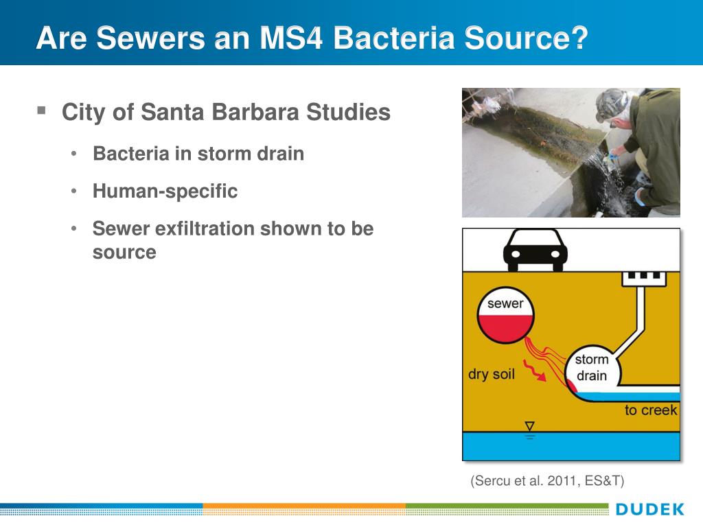 PPT - What Does MS4 Mean to You? A study of sewer and storm drain cross ...