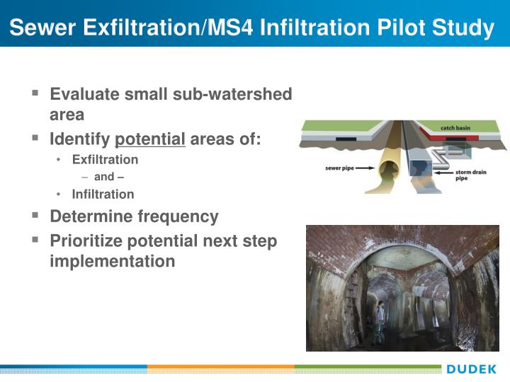 PPT - What Does MS4 Mean to You? A study of sewer and storm drain cross ...