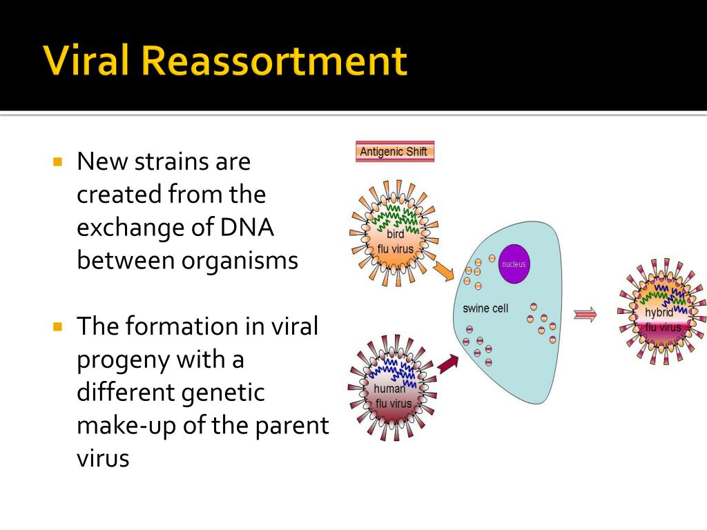 PPT - Nosocomial Infections: Healthcare-Related Infections PowerPoint ...