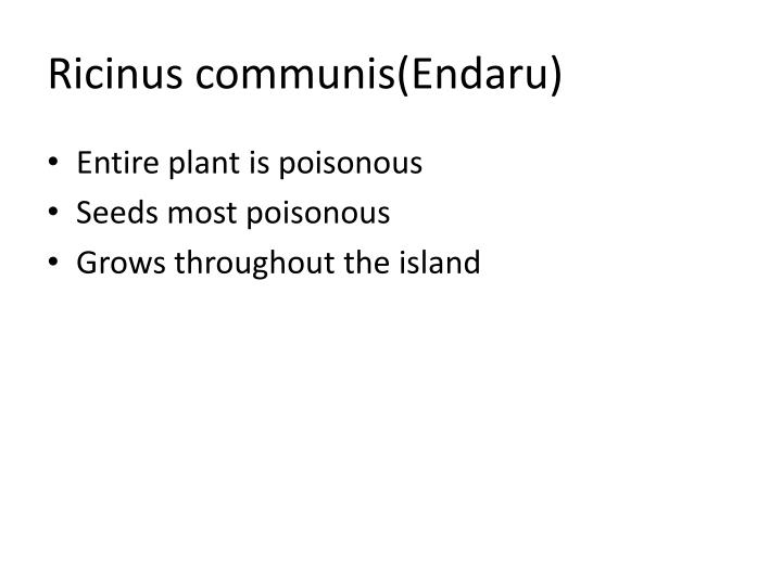 PPT - Plant Poisoning PowerPoint Presentation - ID:2593406