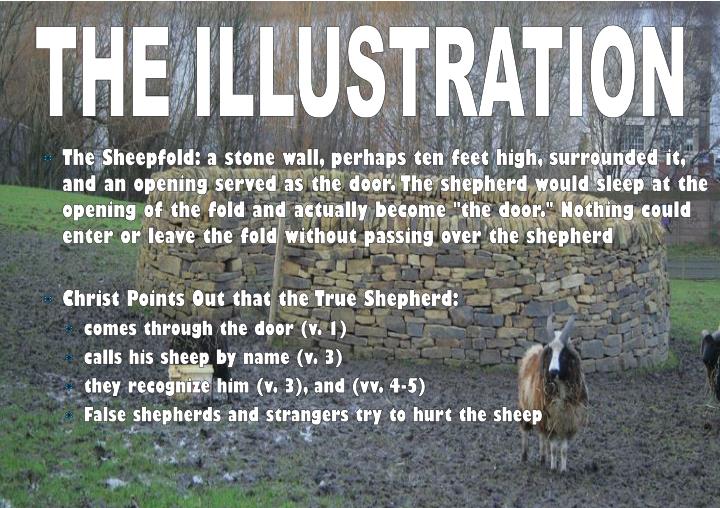 PPT - JESUS THE CHRIST: OUR GOOD SHEPHERD PowerPoint Presentation - ID ...