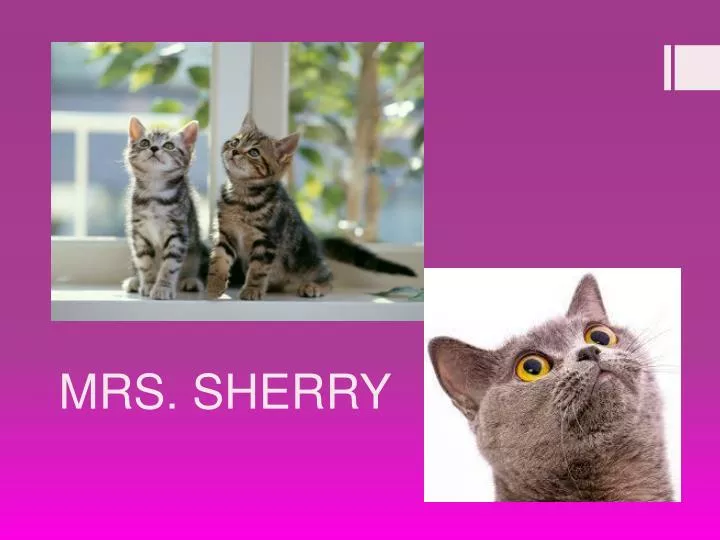 PPT - MRS. SHERRY PowerPoint Presentation, free download - ID:2593873