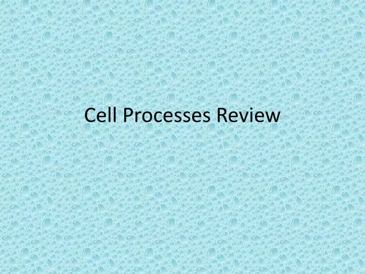 PPT - Cell Processes Review PowerPoint Presentation, free download - ID ...