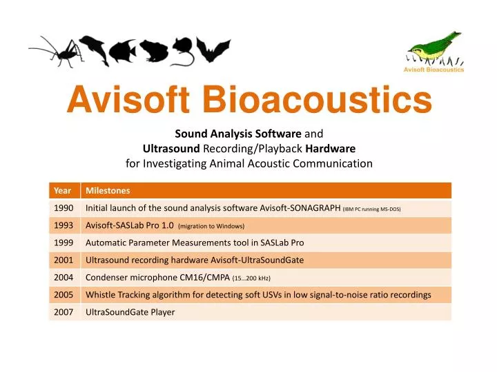 PPT - Avisoft Bioacoustics PowerPoint Presentation - ID:2596163