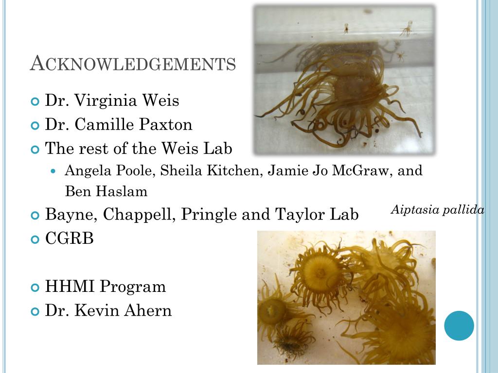 PPT - By: Jessica Flesher Mentors: Dr. Virginia Weis Dr. Camille Paxton ...