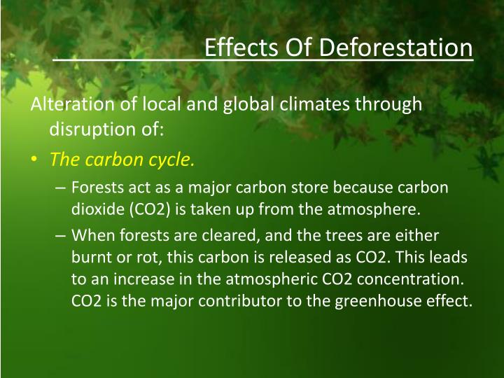 PPT - Deforestation PowerPoint Presentation - ID:2597201