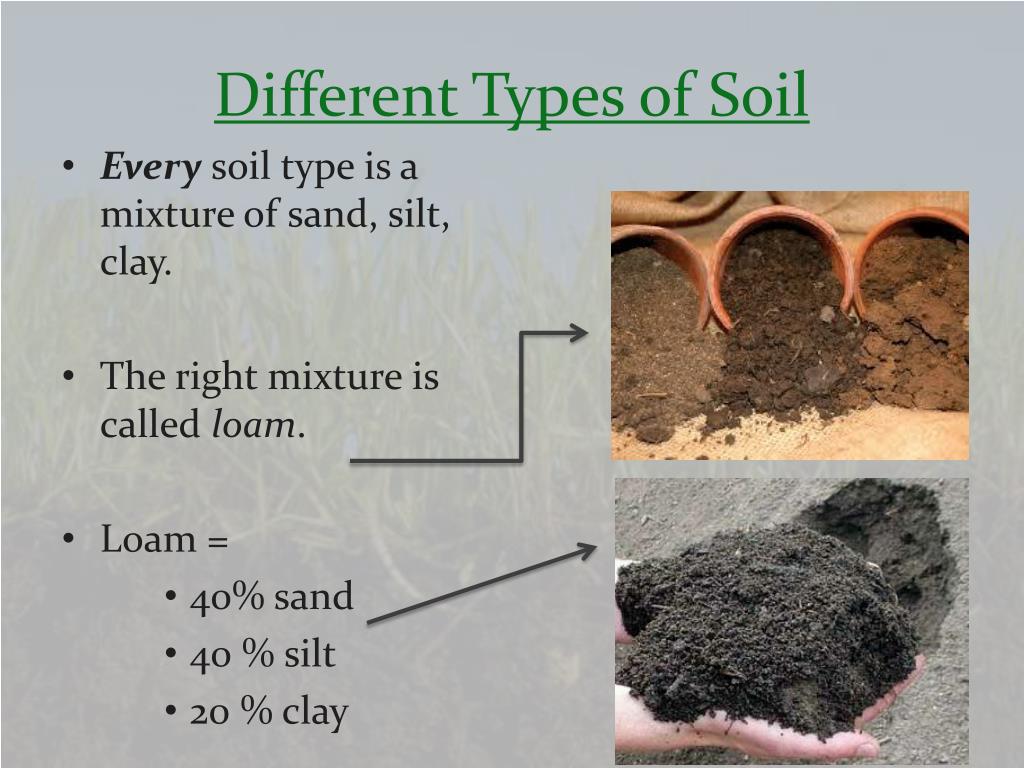 PPT - The Ground Beneath Our Feet PowerPoint Presentation, free ...