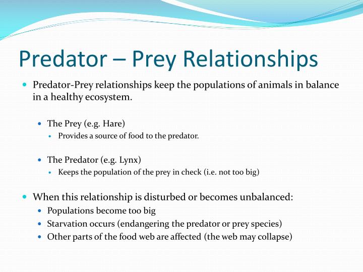 PPT - Predators and Prey PowerPoint Presentation - ID:2597577