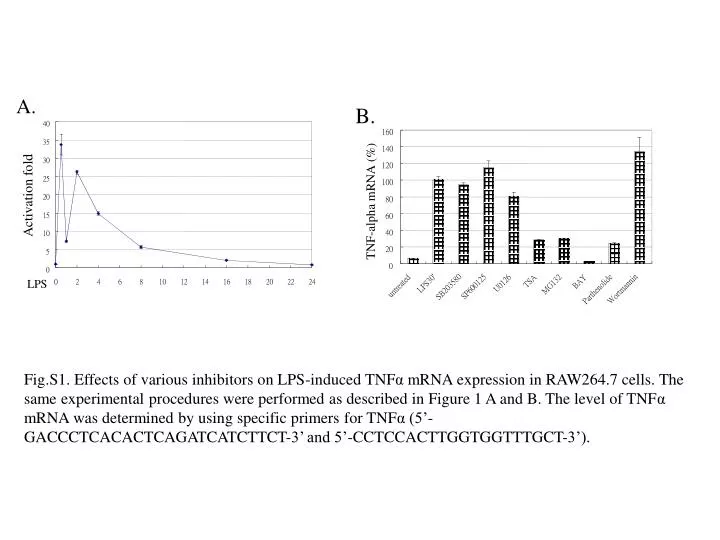 PPT - TTP PowerPoint Presentation, free download - ID:2598014