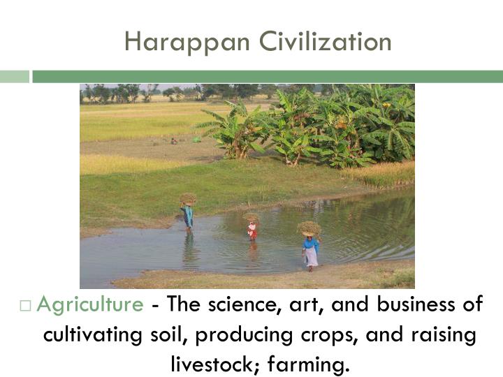 PPT - Harappa Civilization PowerPoint Presentation - ID:2598139