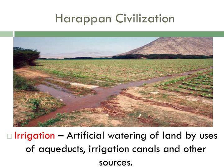 PPT - Harappa Civilization PowerPoint Presentation - ID:2598139