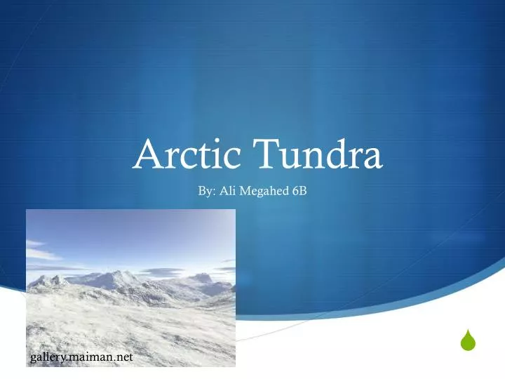 PPT - Arctic Tundra PowerPoint Presentation, free download - ID:2600387