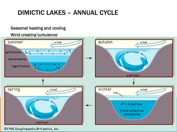 PPT - Upwelling PowerPoint Presentation - ID:2600535