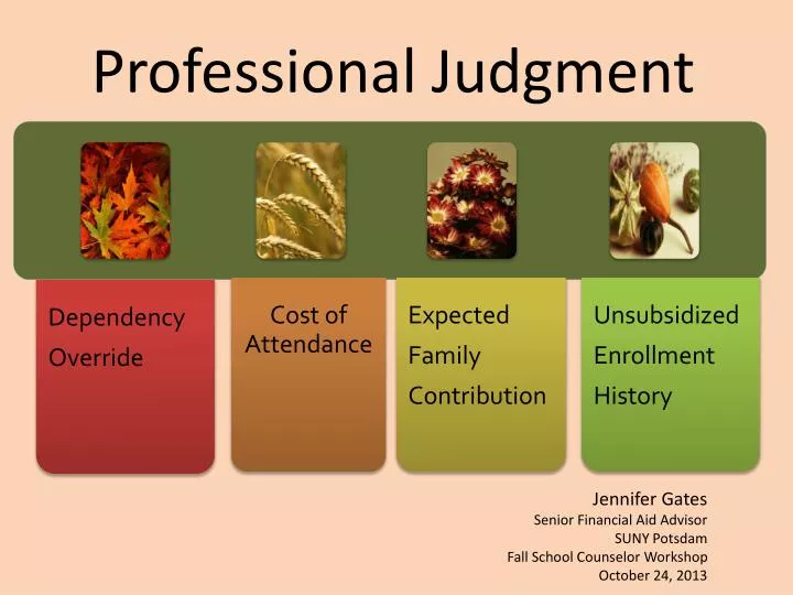 PPT - Professional Judgment PowerPoint Presentation, free download - ID ...