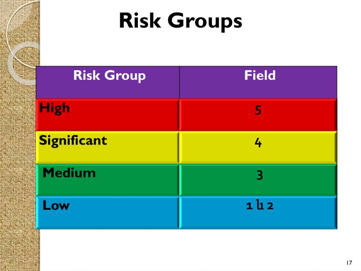 PPT - Audit Universe Risk assessment for strategic and annual internal ...