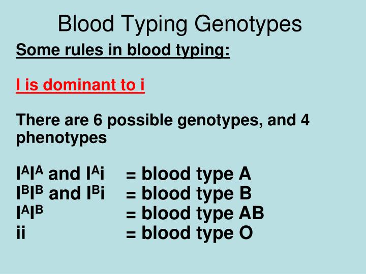 PPT - Blood Typing PowerPoint Presentation - ID:2602000