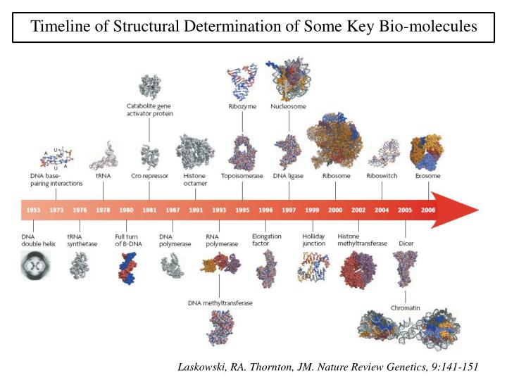PPT - Introduction to Structural Bioinformatics PowerPoint Presentation ...