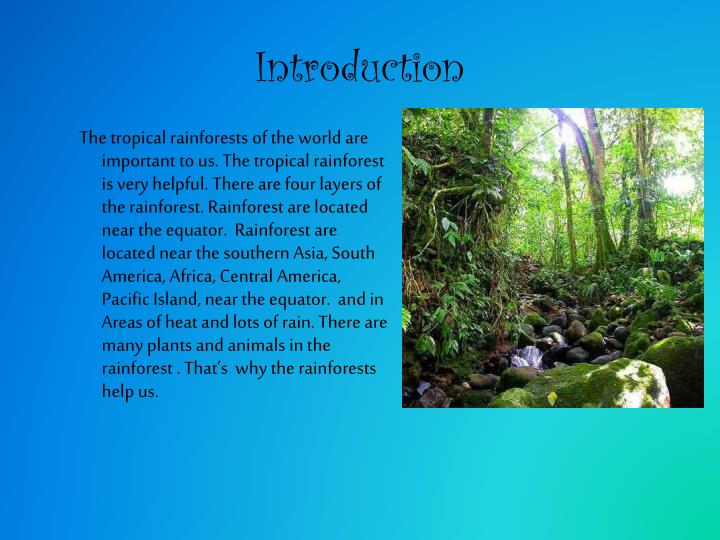 PPT - Toucans in the Rainforest PowerPoint Presentation - ID:2603476