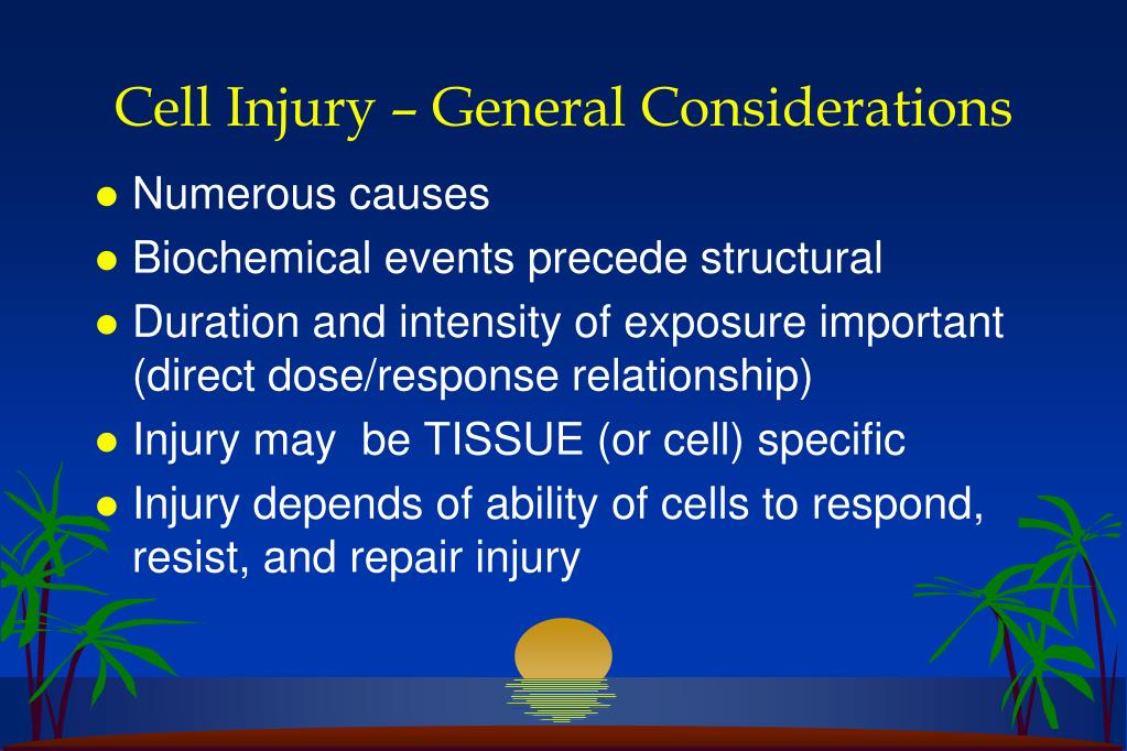 PPT - Cell Injury and the Pathogenesis of Human Disease (PATH 6266 ...
