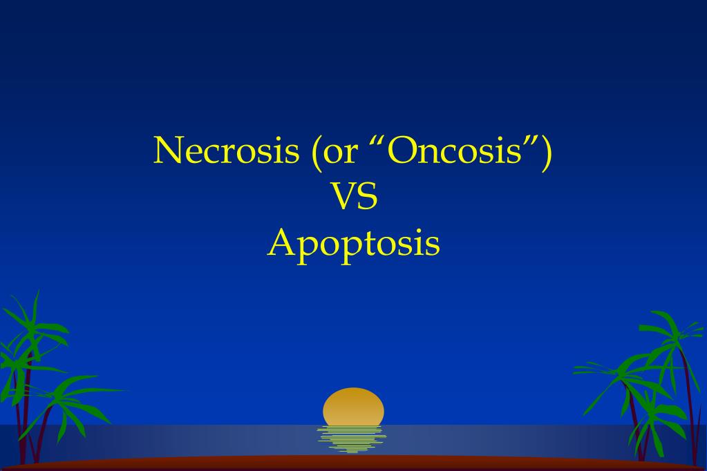 PPT - Cell Injury and the Pathogenesis of Human Disease (PATH 6266 ...