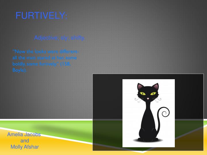 PPT - Tortilla Curtain PowerPoint Presentation - ID:2604091
