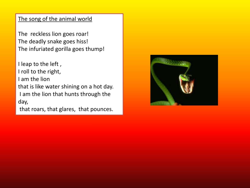 PPT - The song of the animal world The reckless lion goes roar! The ...