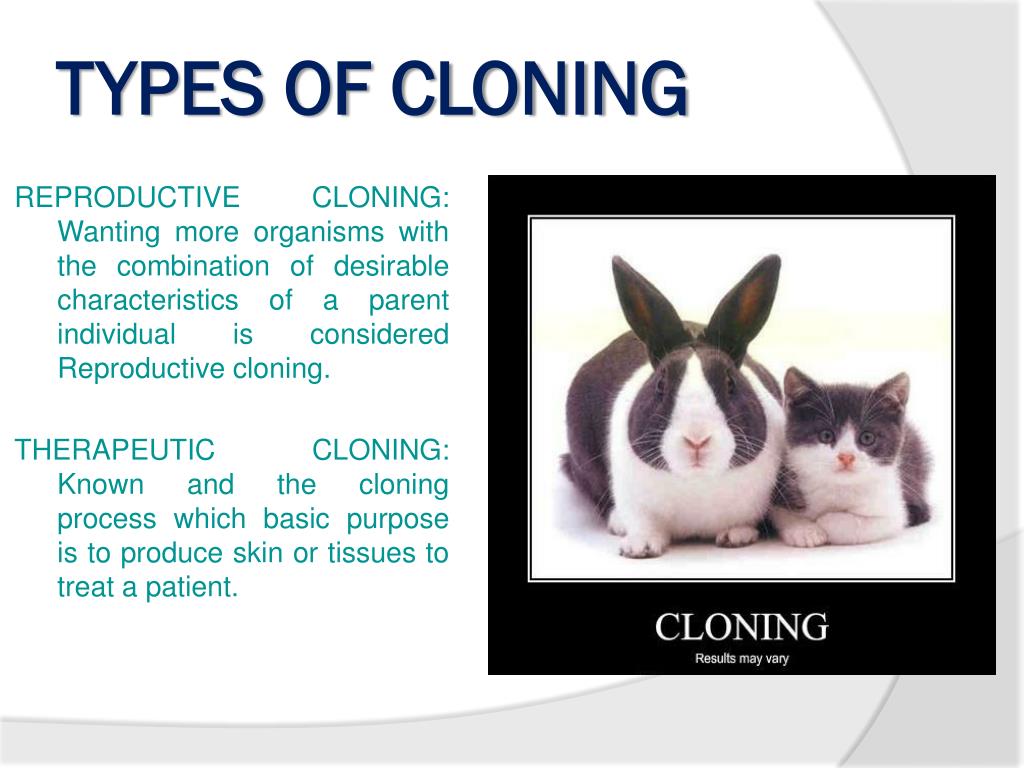 Ppt Cloning Powerpoint Presentation Free Download Id 2604684