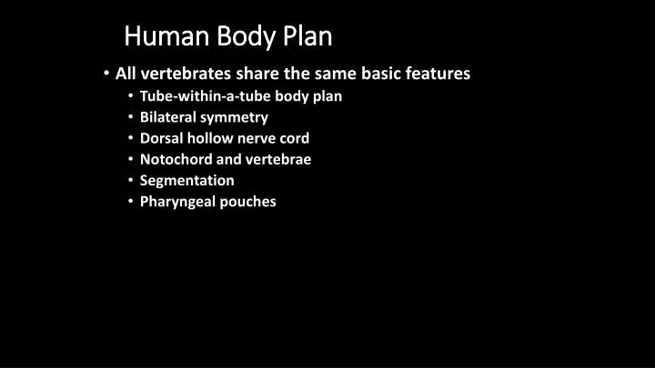 PPT - Human Body Plan PowerPoint Presentation, free download - ID:2605146